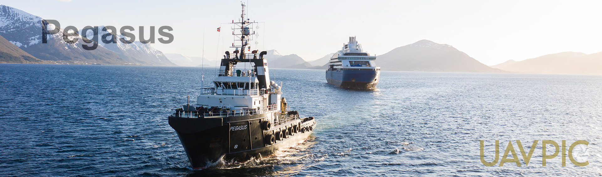 Pegasus - Uavpic